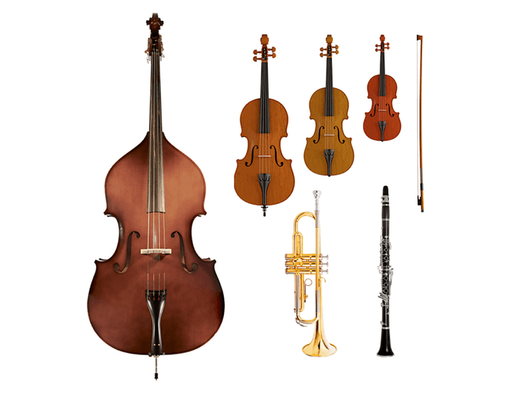 Nord Sample Library | Nord